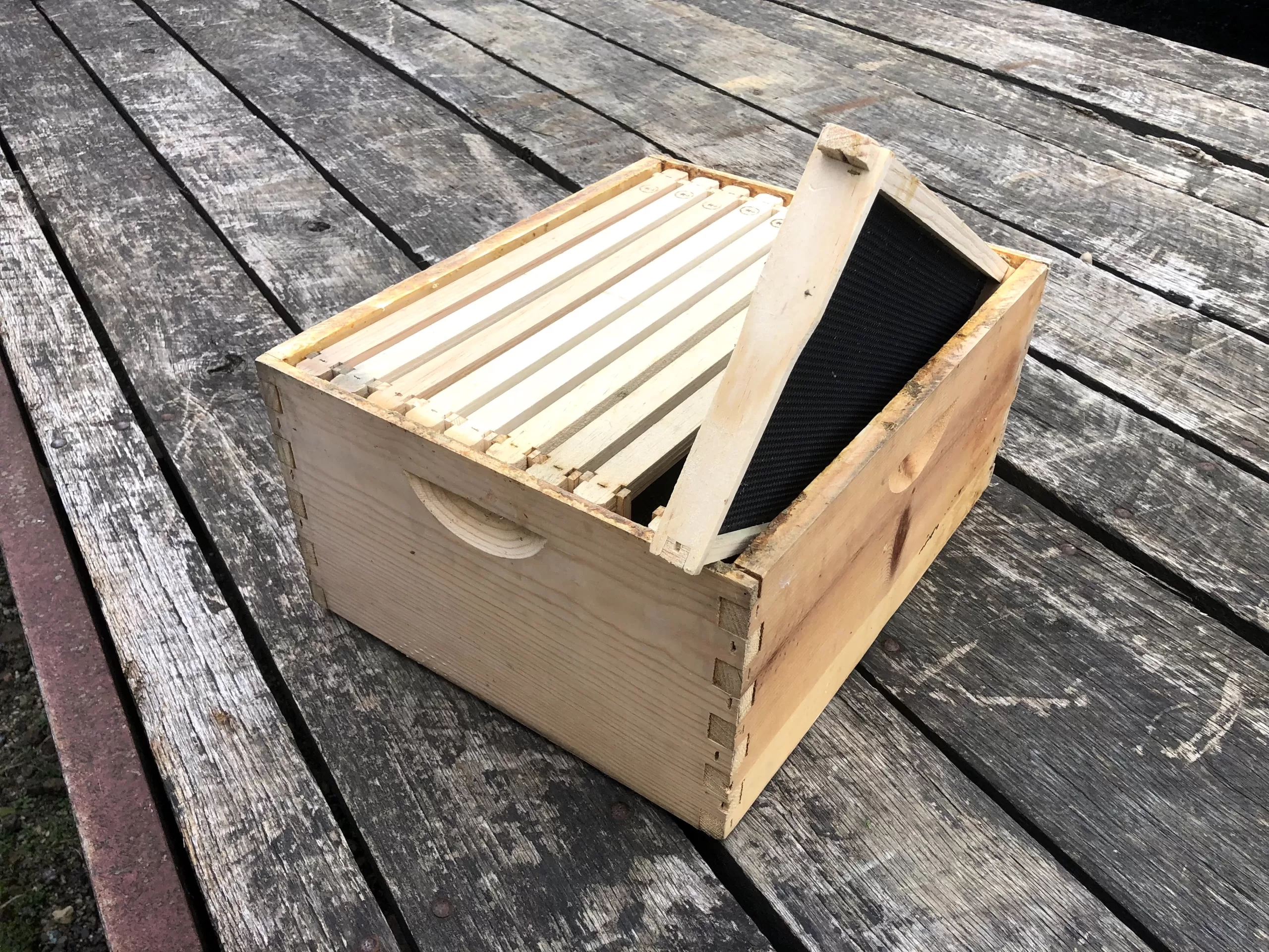 Bee Box Deep with Frames and Plastic Foundations